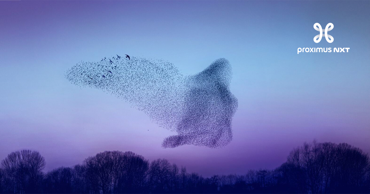 Proximus NXT IT, filiale spécialisée en services IT pour répondre ...